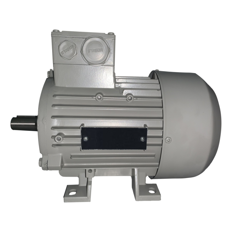 Motor 0,25 Kw